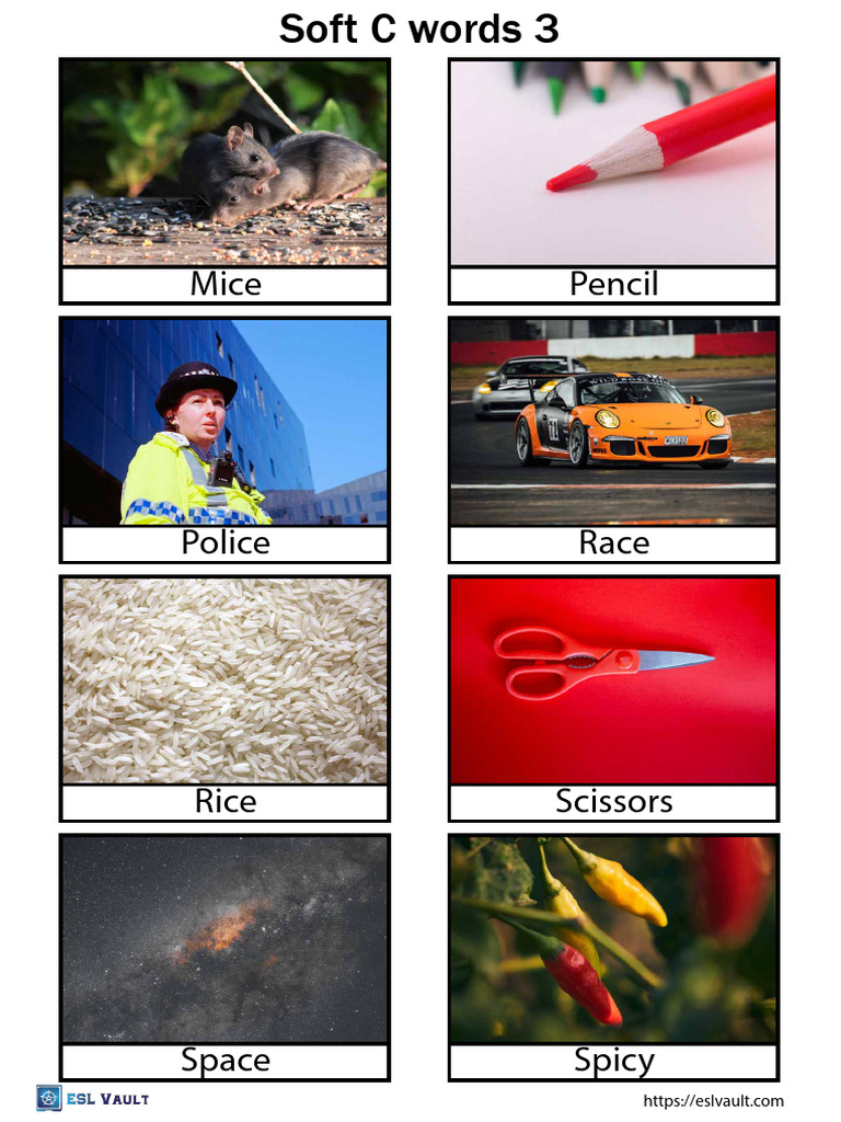 Soft C and Hard C Word Sort | PDF