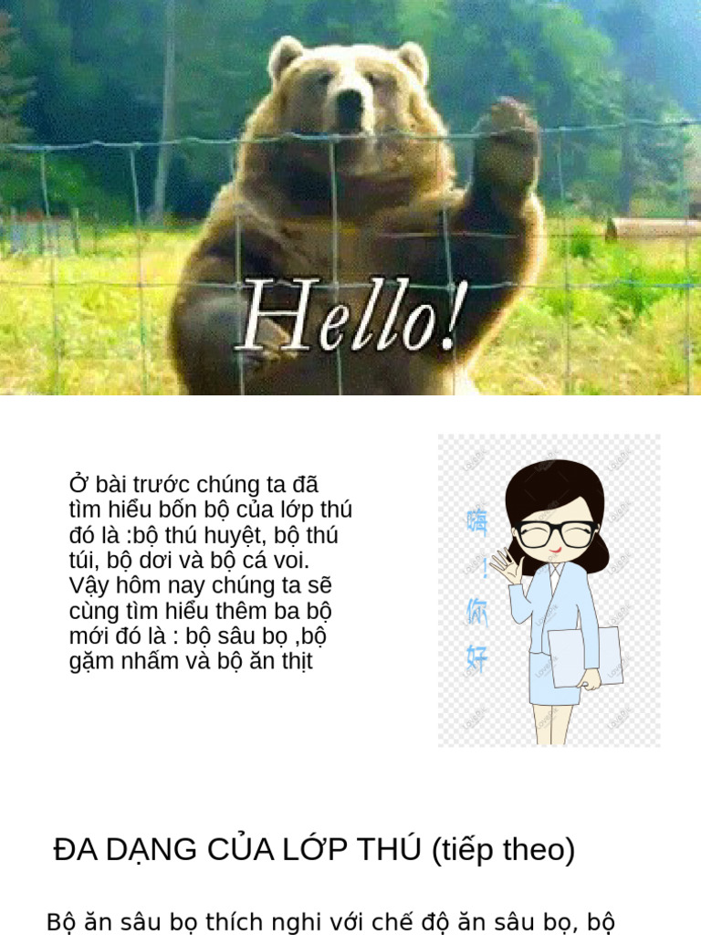 Đa D NG C A L P Thú | PDF