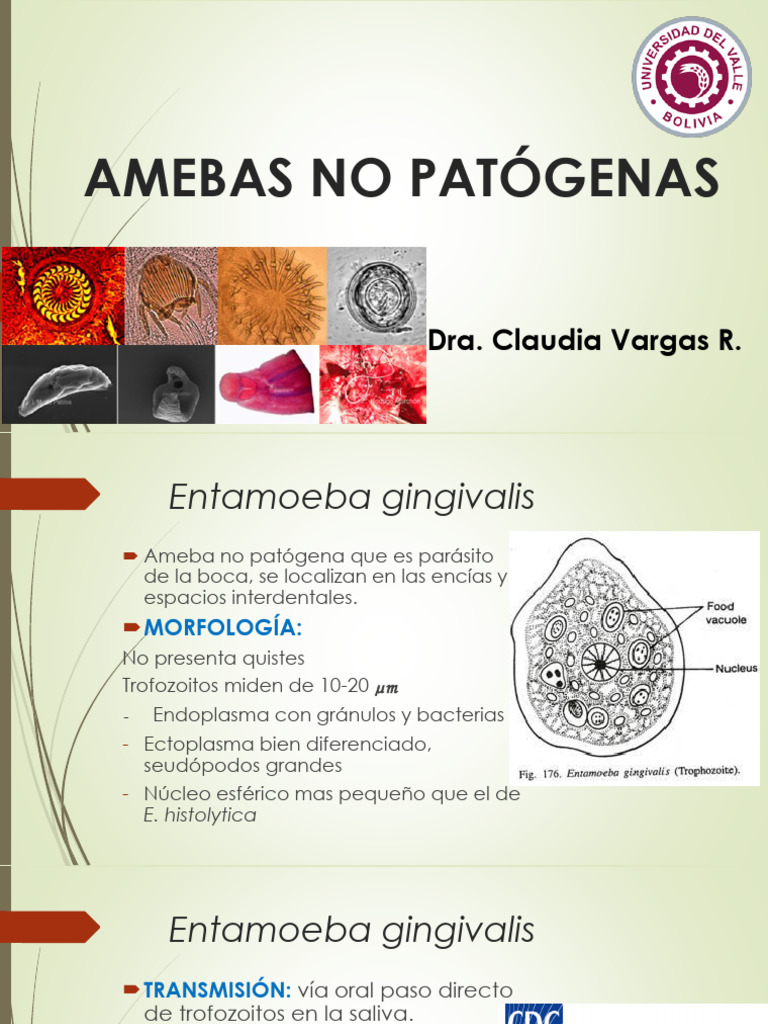 MEBAS Cono PATOGENAS | PDF