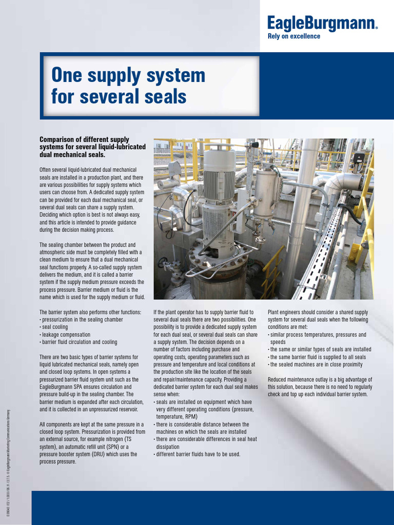 Solution One Supply System For Several Seals | PDF | Pump | Valve