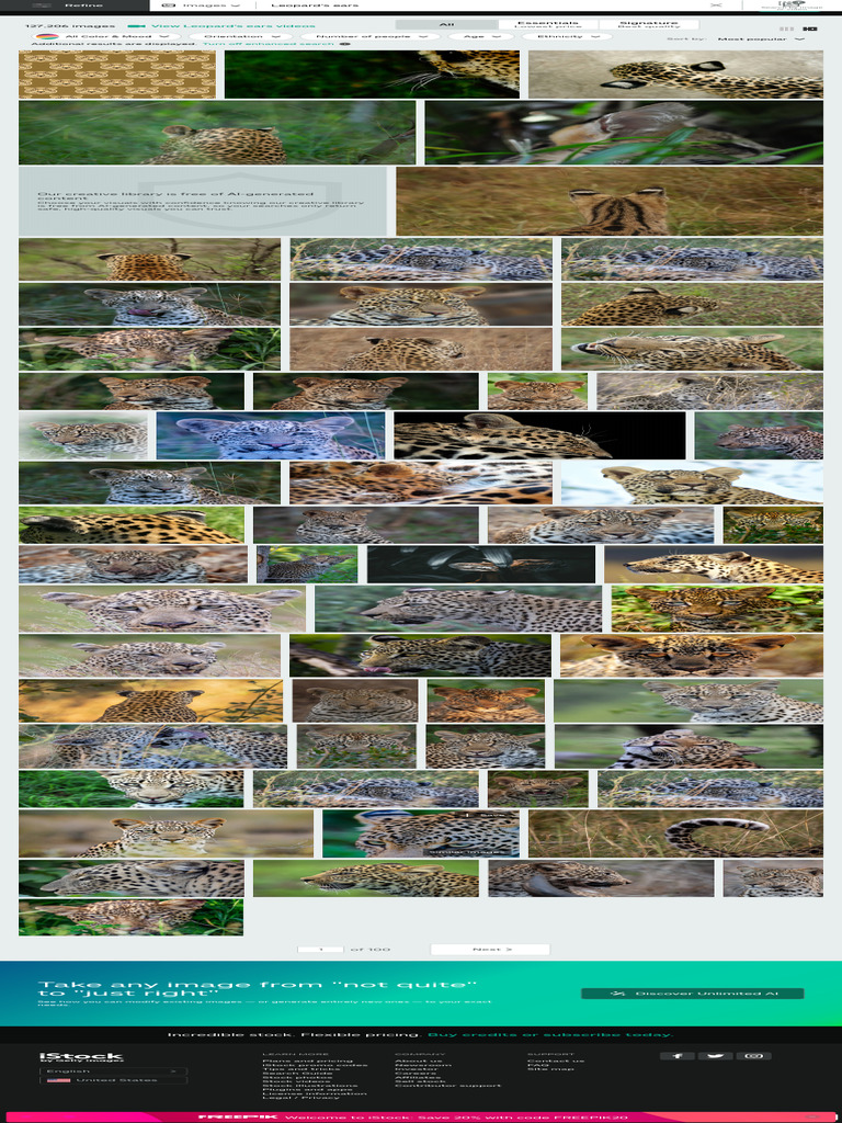 127,206 Leopard's Ears Stock Photos, Pictures & Royalty-Free Images ...