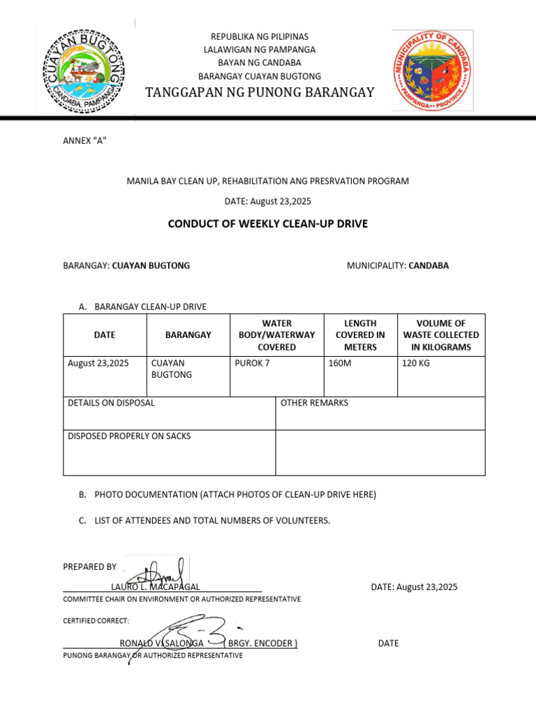 Manila Bay Clean-Up Drive Report | PDF