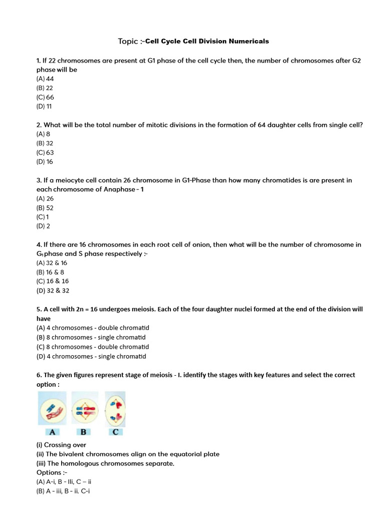 Meiosis and Mitosis Cell Cycle Questions | PDF | Meiosis | Mitosis