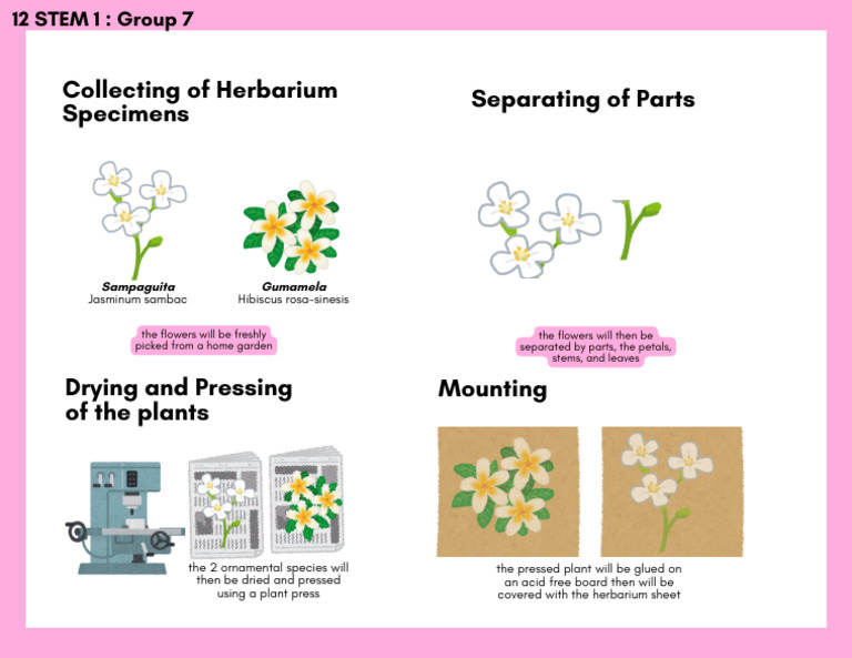 Schematic Diagram (Capstone) | PDF