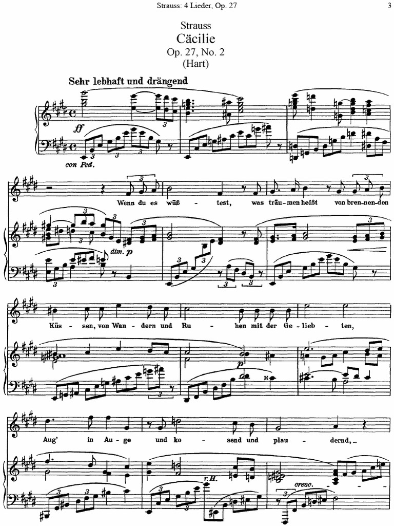 2c-Caecilie_250819_234535 | PDF