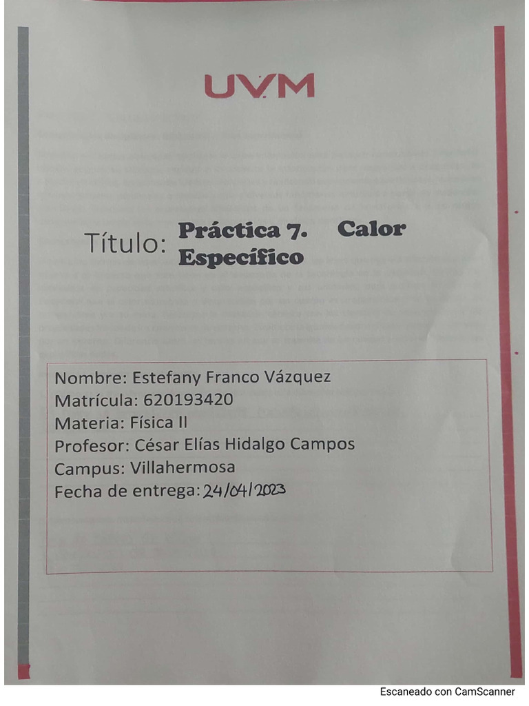Práctica 7.calor Específico - EFV | PDF