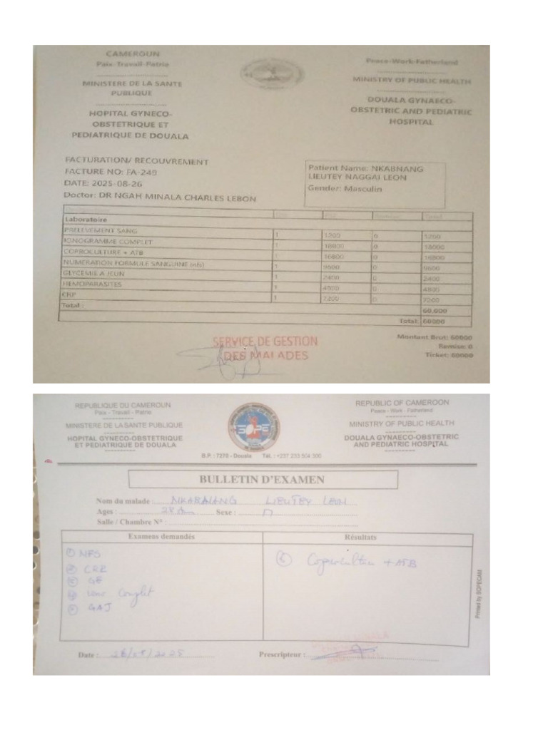 Doc1 Justif | PDF