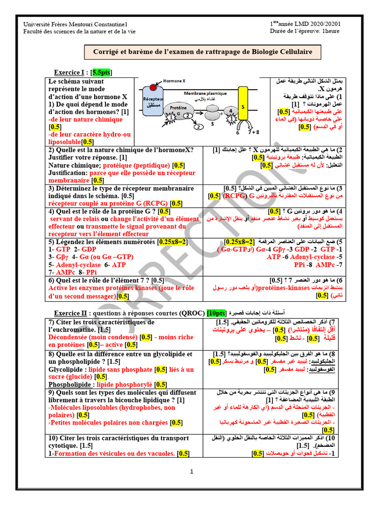 Corrigé Et Barème Du Controle de Rattrapage-2020-2021 - Copie | PDF