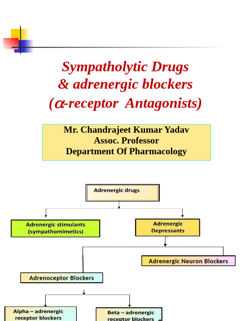 1 - Alpha Receptor Blockers | PDF | Norepinephrine | Receptor Antagonist