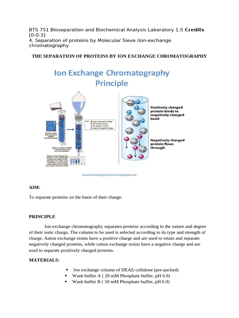 The Separation of Proteins by Ion Exchange Chromatography | PDF | Gel ...