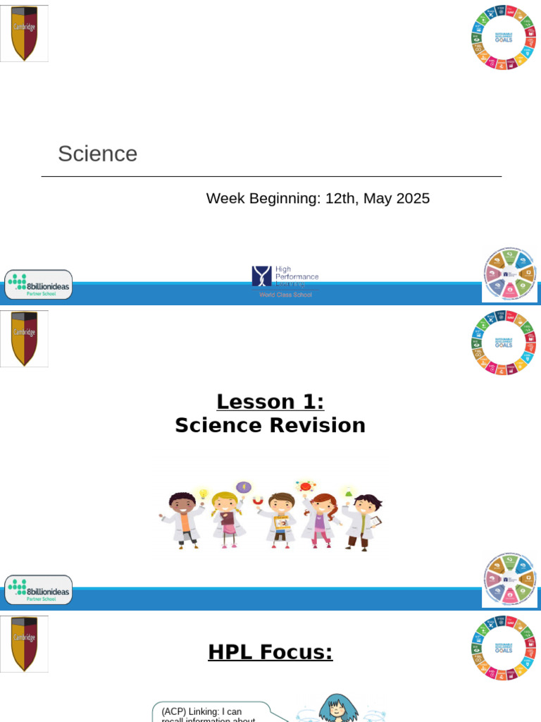 Year 3 Science Revision Quiz | PDF | Science | Soil