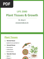 Plants Specialized Structures | PDF