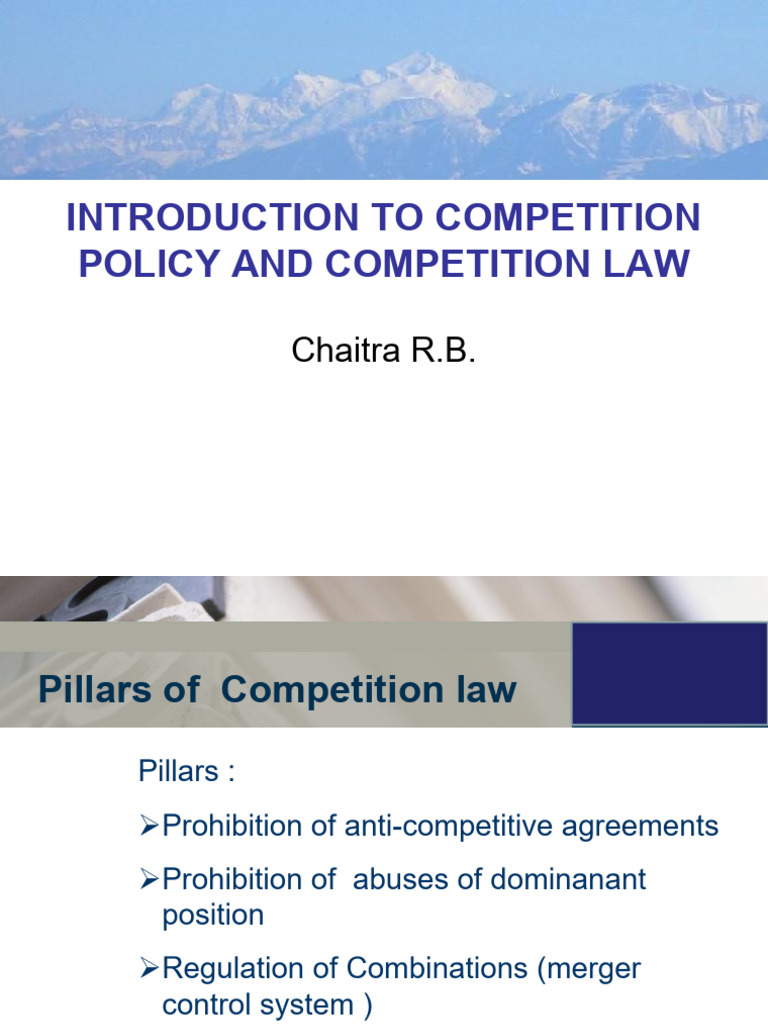 Overview of Competition Law Principles | PDF | Perfect Competition ...