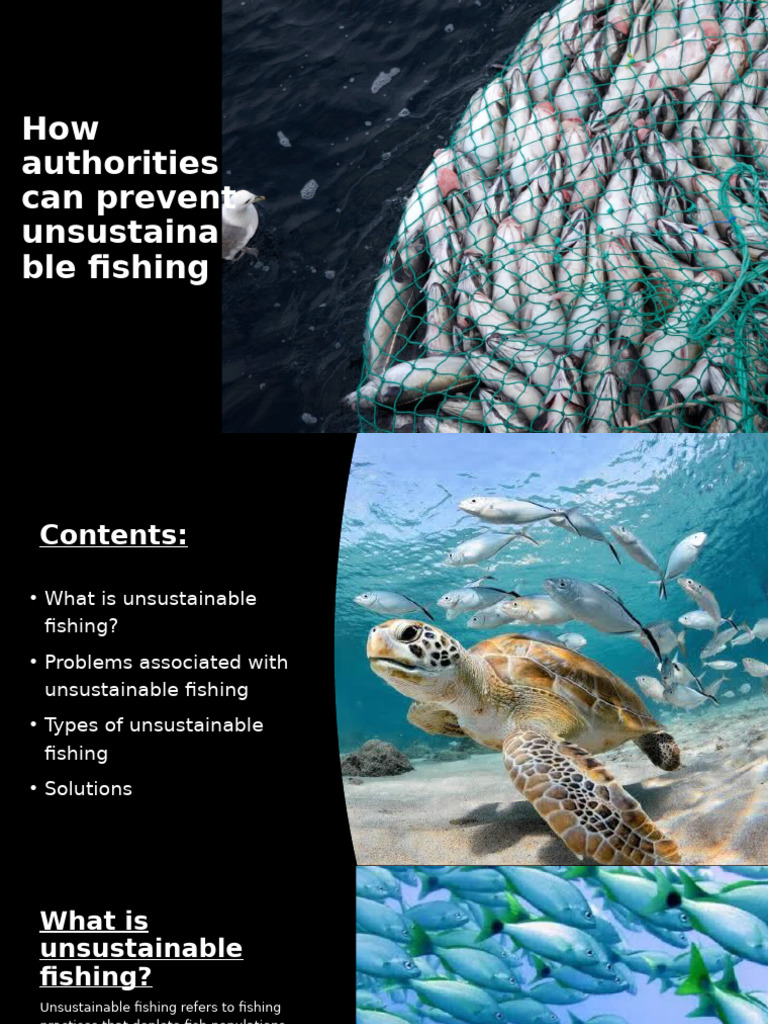 Preventing Unsustainable Fishing Practices | PDF | Overfishing | Trawling