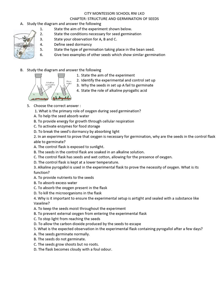 Seed Germination Experiment Guide | PDF | Seed | Germination