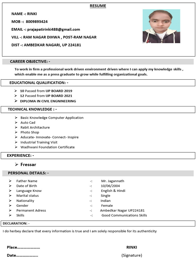 Resume Rink I Prajapati | PDF