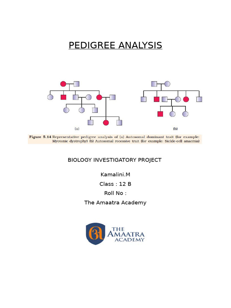 Pedigree Analysis in Genetics Project | PDF | Dominance (Genetics) | Allele