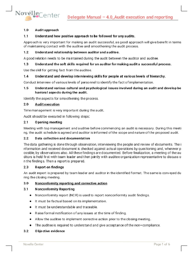 6 - Audit Execution and Reporting - Phoenix | PDF
