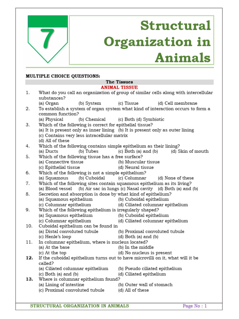 Animal Tissue Structure Quiz | PDF | Epithelium | Connective Tissue