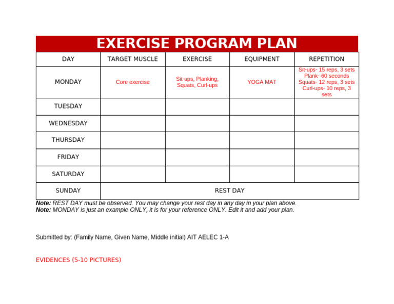 Exercise Program Plan | PDF