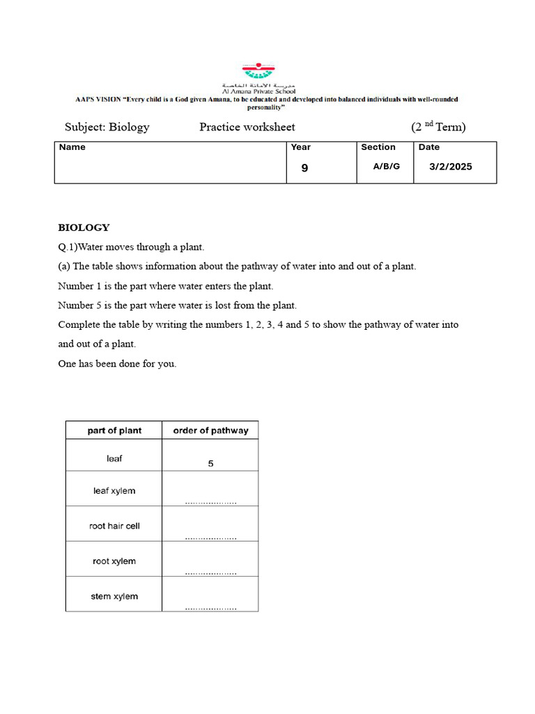 New Term 2 Science Practice Worksheet 2025 | PDF | Acid | Root