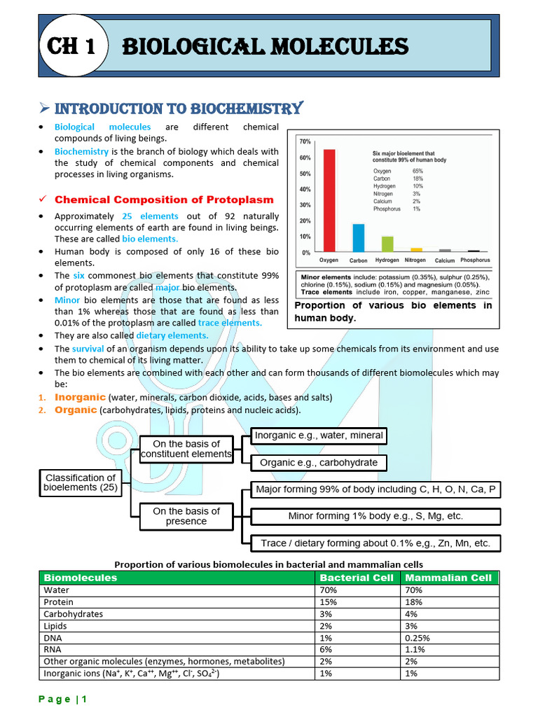 Biochemistry: Key Concepts of Biomolecules | PDF | Carbohydrates ...