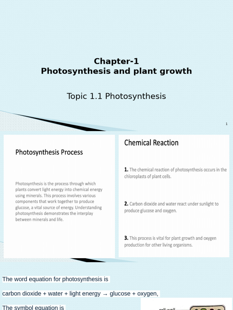Grade - 8 - Photosynthesis and Plant Growth-1 | PDF | Leaf | Photosynthesis