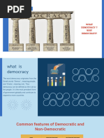 Understanding Democracy in Class 9 | PDF | Democracy | Political Ideologies