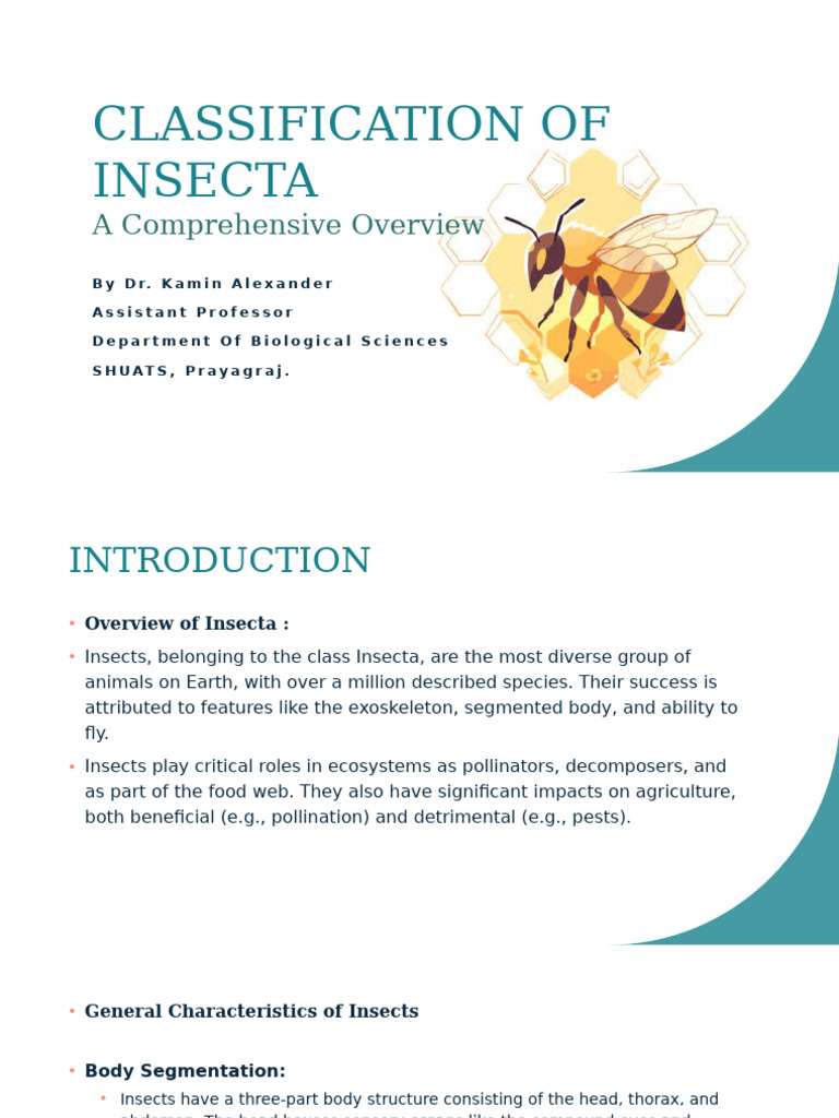 CLASSIFICATION OF INSECTA | PDF | Insects | Fly