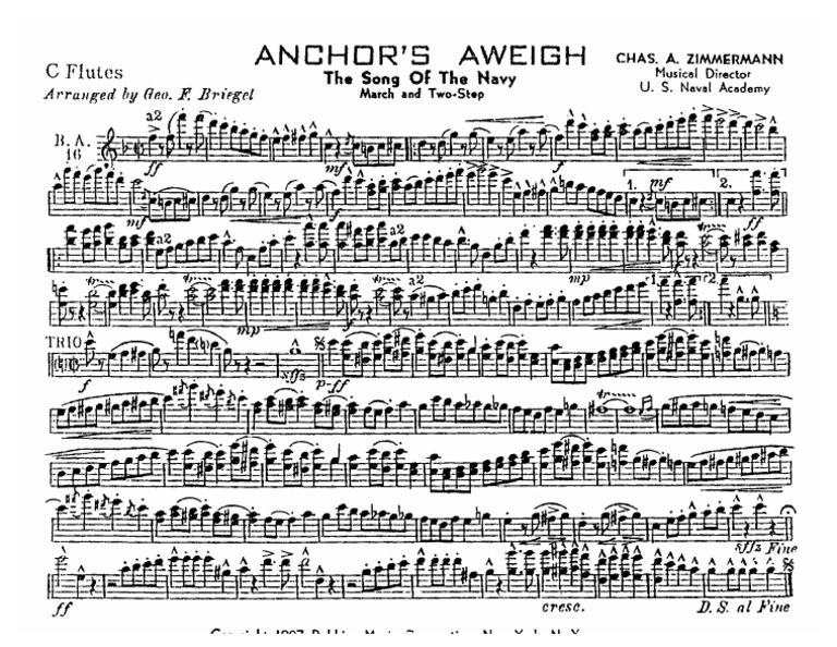 Anchors C Flute | PDF