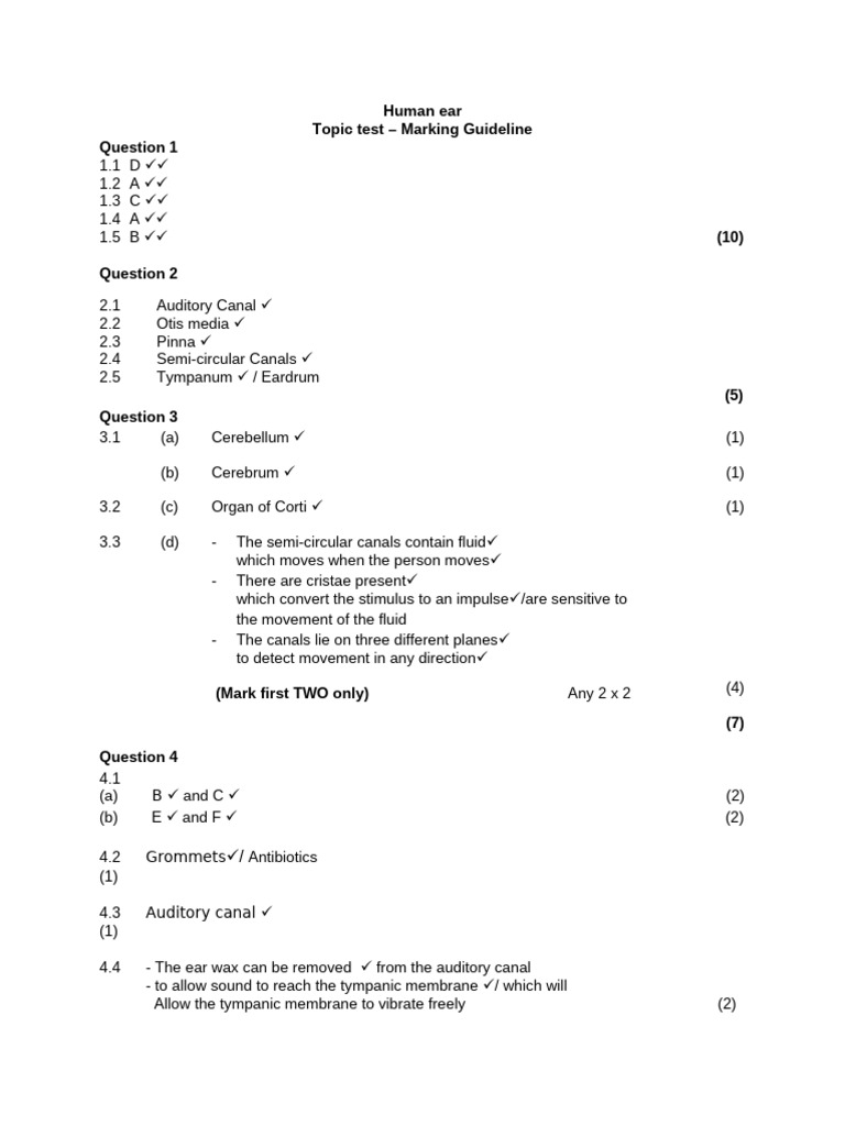 Human Ear Test Marking Guidelines | PDF