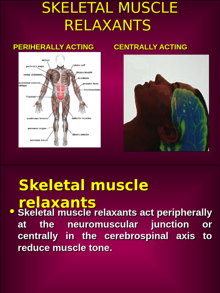 Overview of Skeletal Muscle Relaxants | PDF | Neuromuscular Junction ...