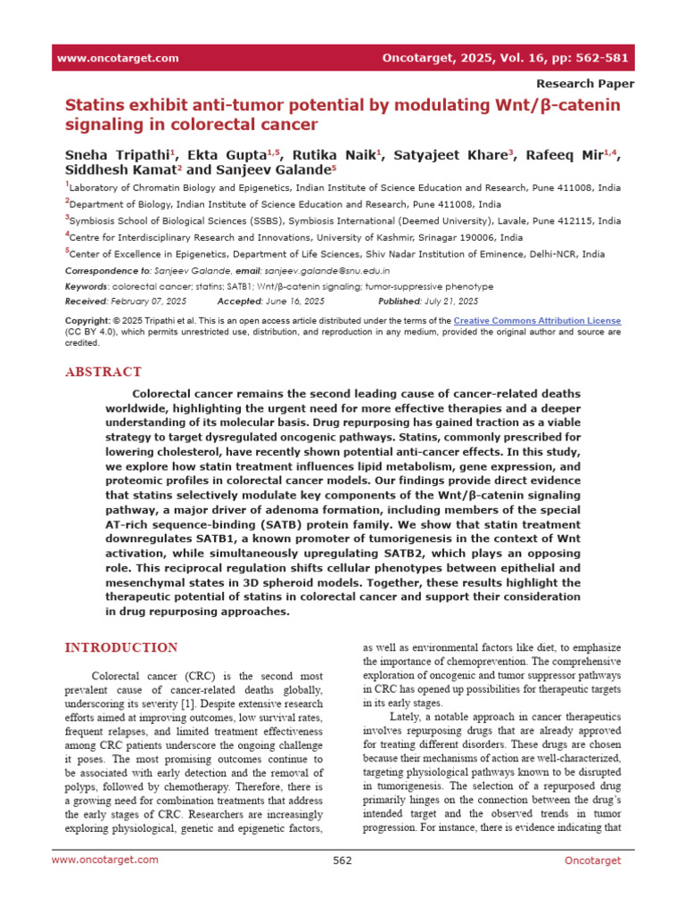 Statins Exhibit Anti-tumor Potential by Modulating Wnt-β-catenin ...