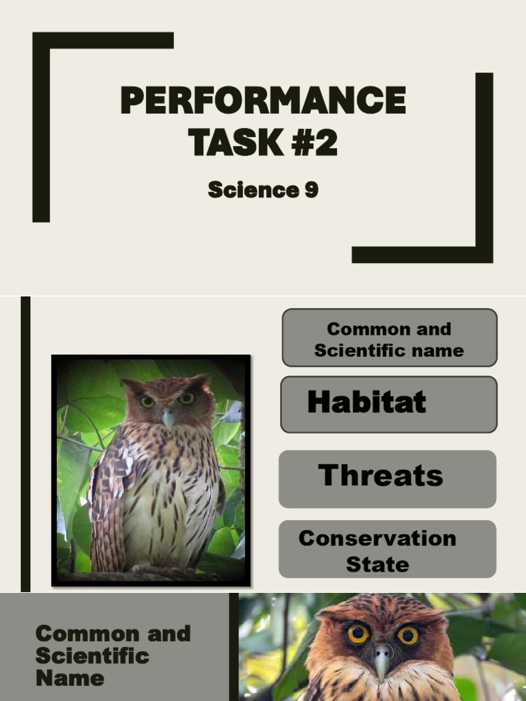 Performance Task #2: Science 9 | PDF