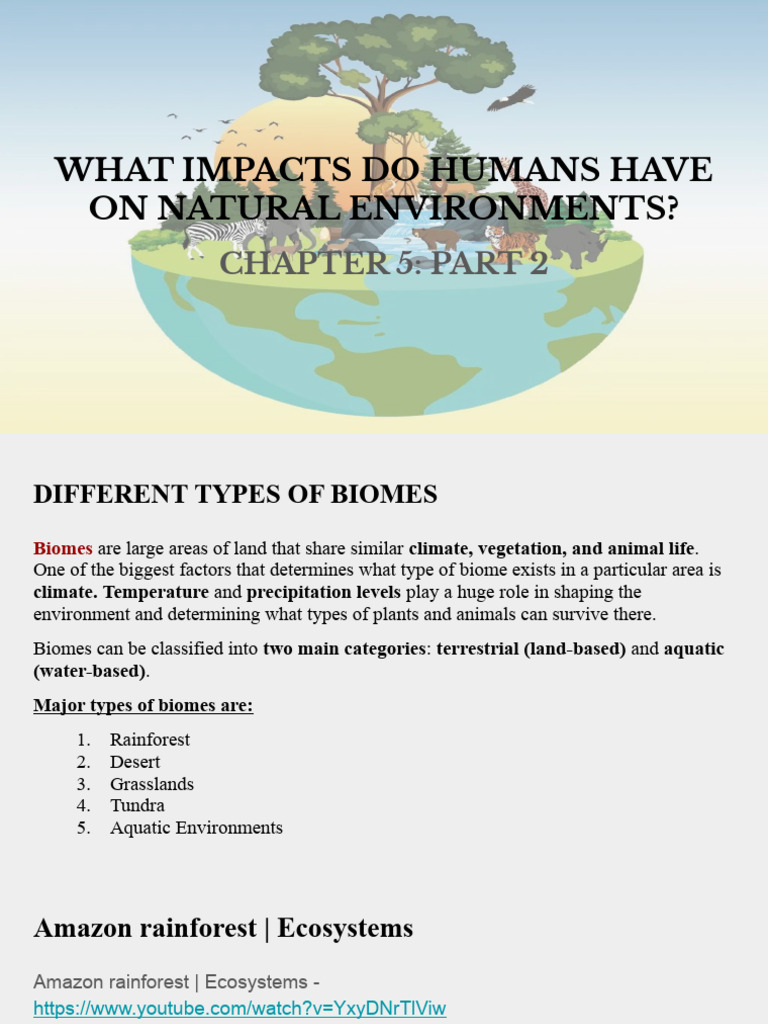 Myp 4 Chapter 5.2 | PDF
