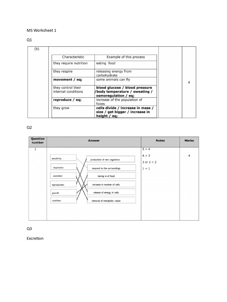 MS Worksheet 1 | PDF