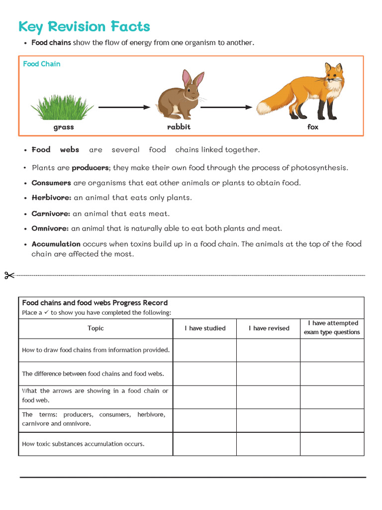 Food Chains and Food Webs Revision | PDF | Foods | Food Web