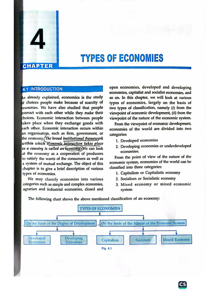 Types of Economies | PDF