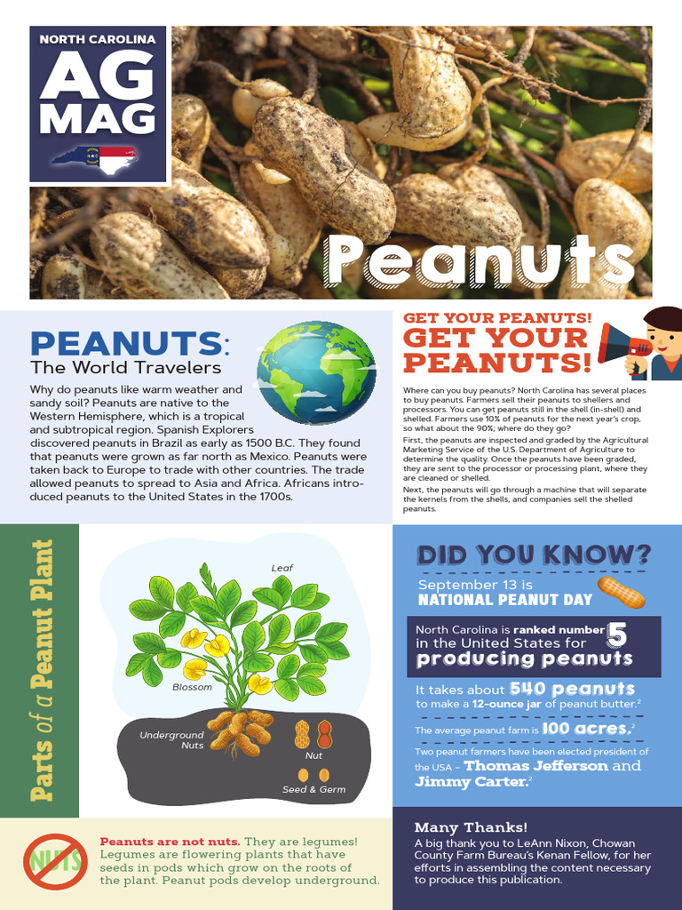 Peanuts Ag Mag For Web | PDF | Peanuts | Legume