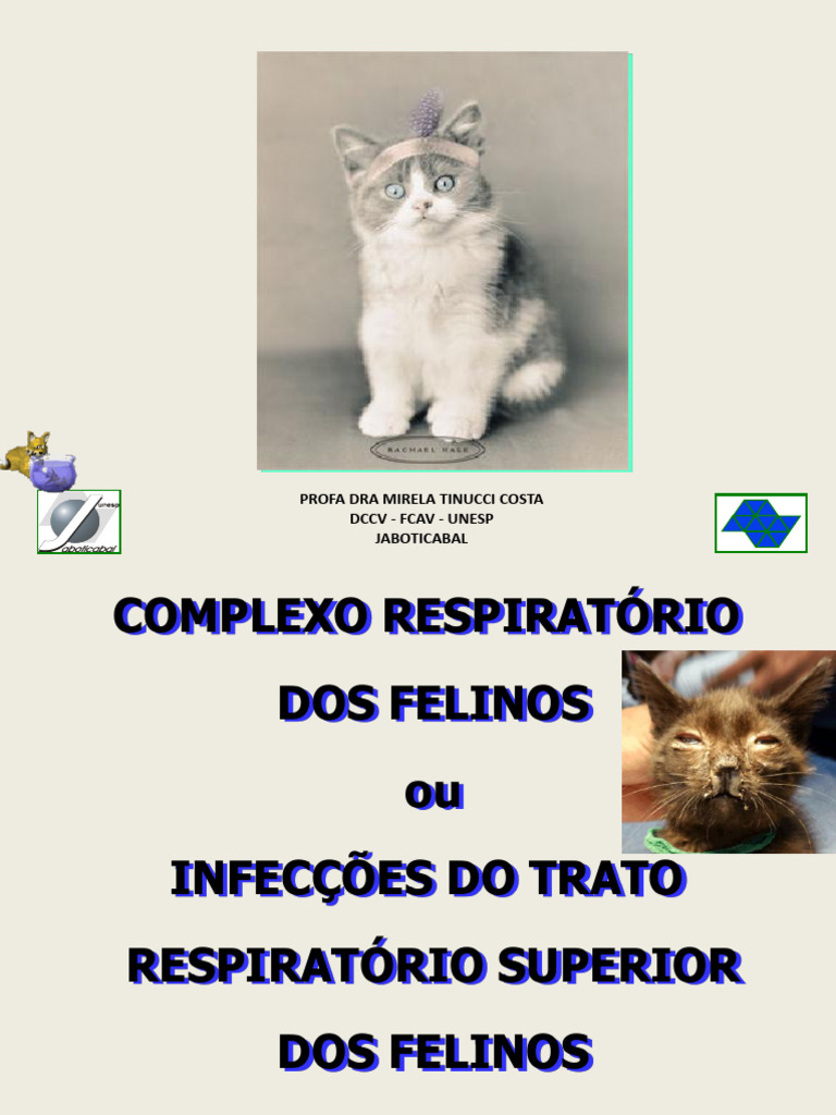 GEFel Complexo Respiratorio Do Gato. Felino. | PDF | Especialidades ...