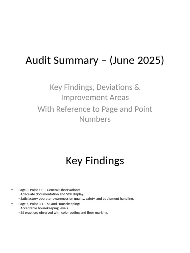 June 2025 Audit Summary: Findings & Improvements | PDF