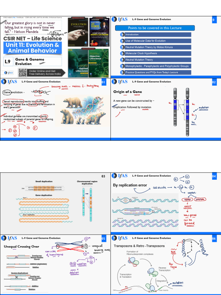 355) L09 - Gene and Genome Evolution | PDF | Point Mutation | Gene