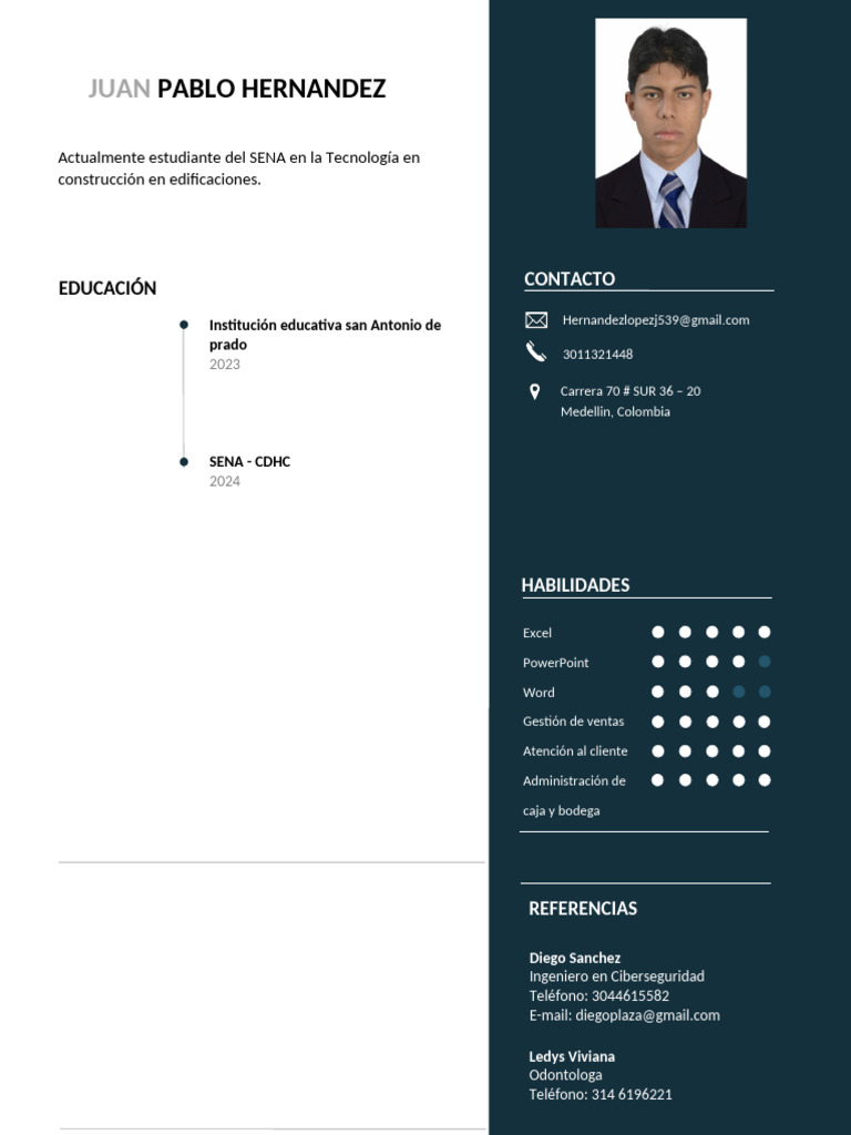 145 Hoja de Vida Profesional | PDF