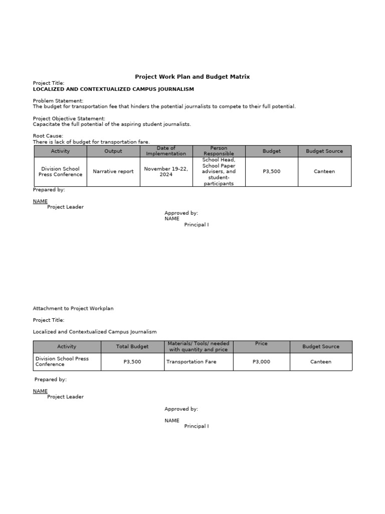 DSPC 2024 Project Workplan Matrix and Budget With Attachment | PDF