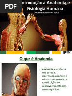 Aula 1 - Planos e Eixos | PDF | Anatomia | Corpo humano