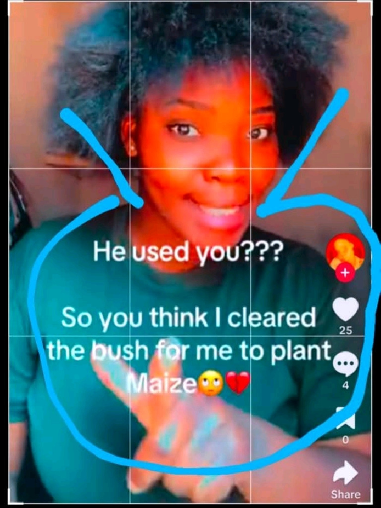 PDF Phoenix 20250831 155311 | PDF