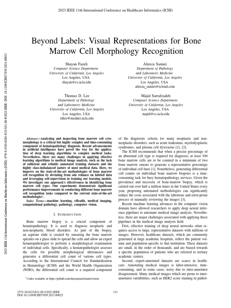 Beyond Labels Visual Representations For Bone Marrow Cell Morphology ...