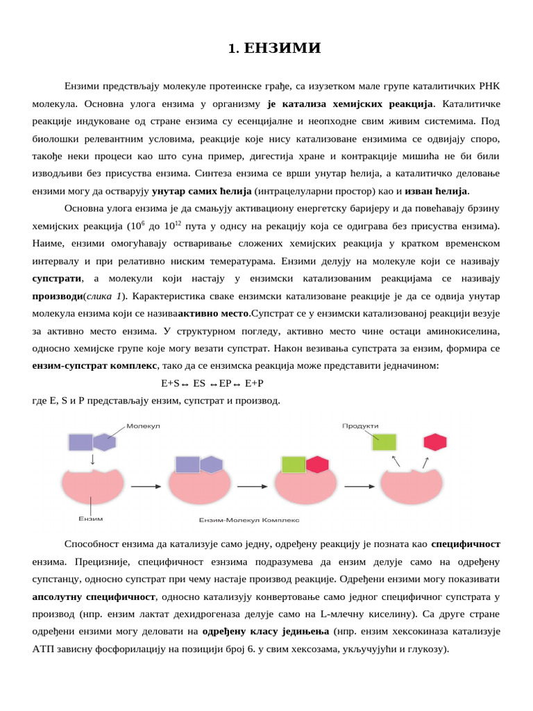 Biohemija 2023 | PDF