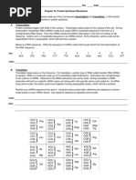 Protein Synthesis Worksheet | PDF
