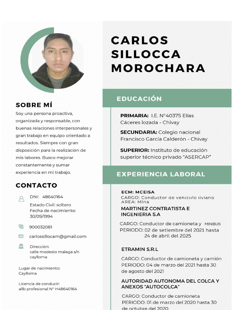 CV-Carlos Silloca | PDF